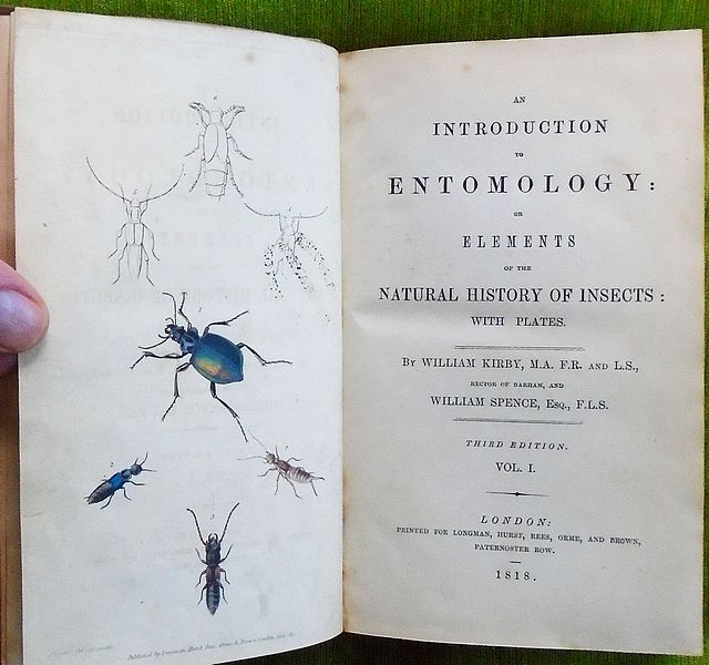 An Introduction to Entomology: